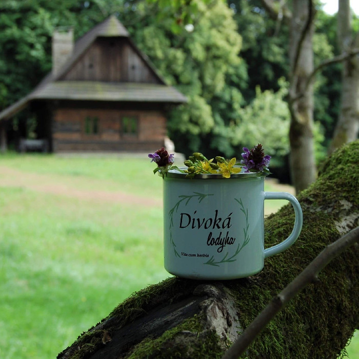 Kontakt :: Divoká lodyha