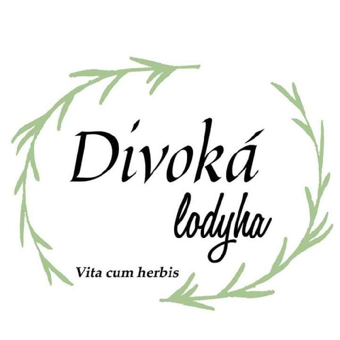 Divoka lodyha